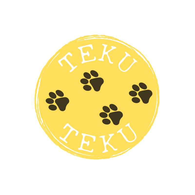 【Java】でシンプルな『テキストアドベンチャーゲーム』作るよ！ - tekuteku